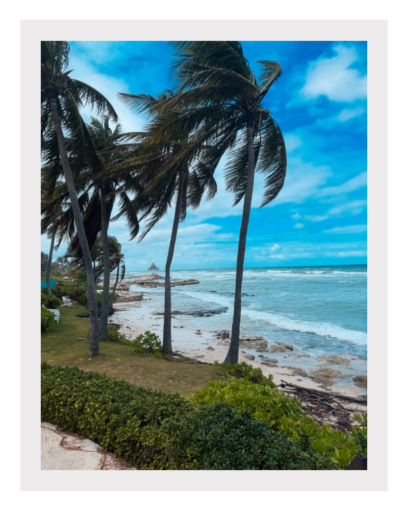 Hyatt Zilara & Ziva Rose Hall: A Review of This All-Inclusive Jamaican ...